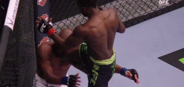 [] Flying Knee Ko From Ufc 172s Chris Beal